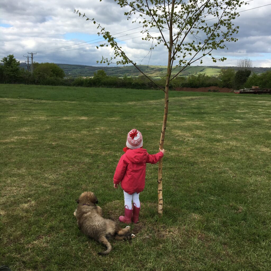 lsb5 – The Capillary Wave